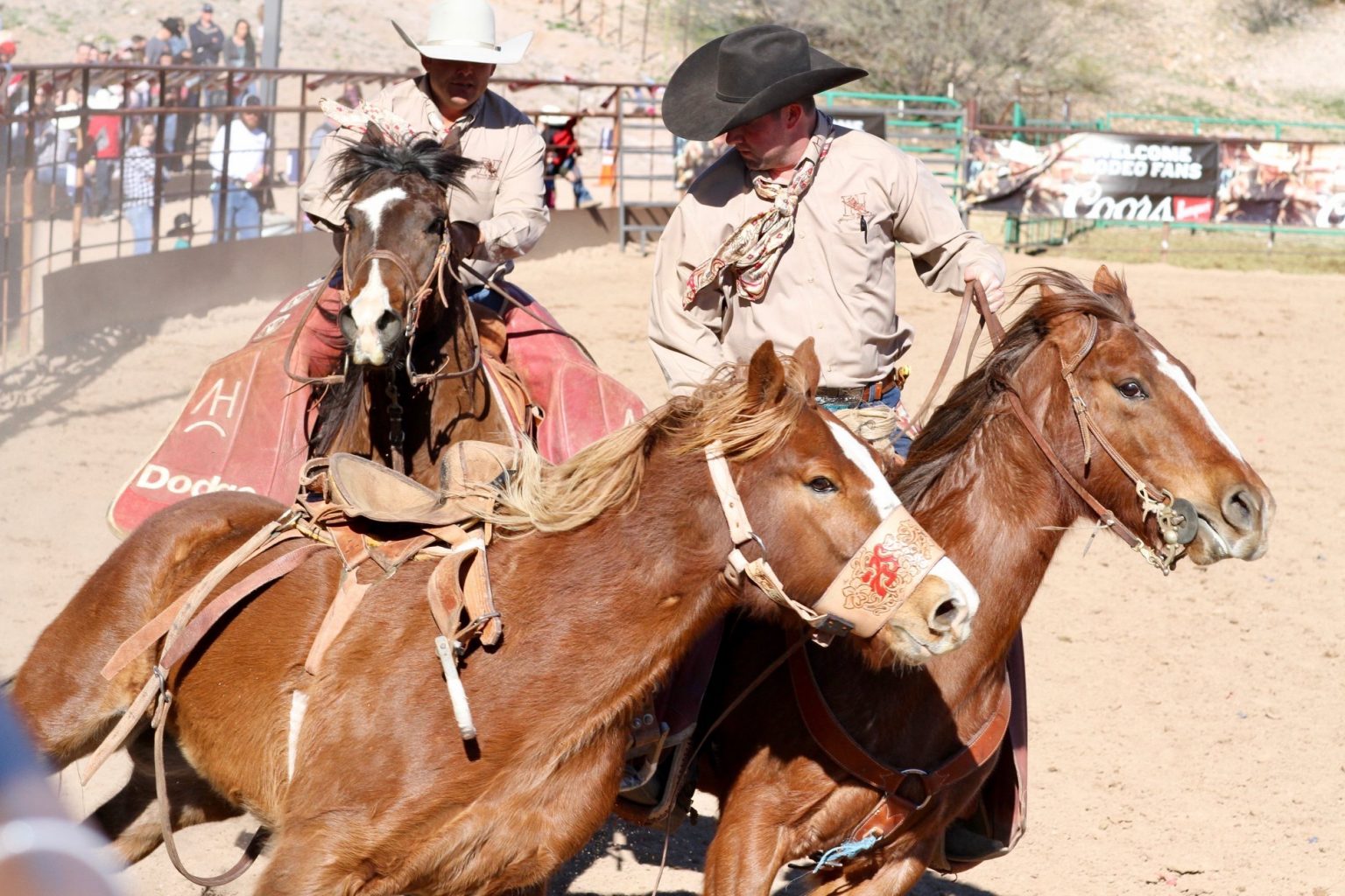Virtual Tour - Out Wickenburg Way